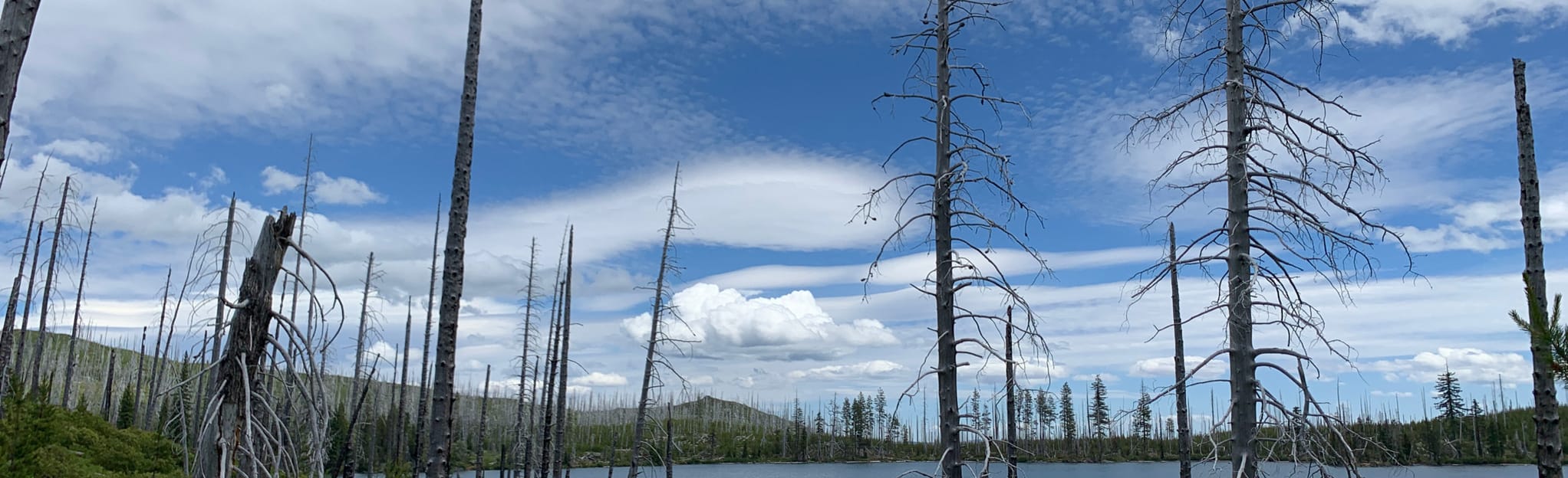 Square Lake, Oregon - 219 Reviews, Map | AllTrails