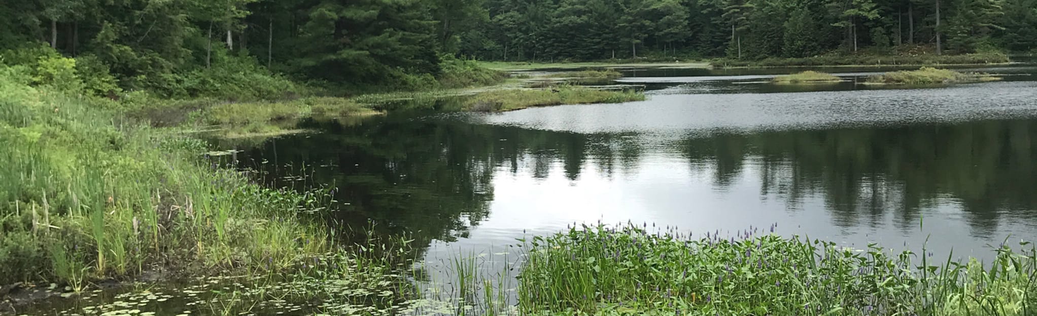 Seguin Trail: Parry Sound - Orrville, Ontario, Canada - 14 Reviews, Map ...