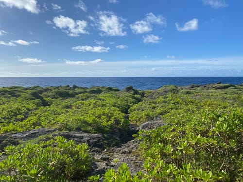 2023 Best 10 Trails and Hikes in Guam | AllTrails