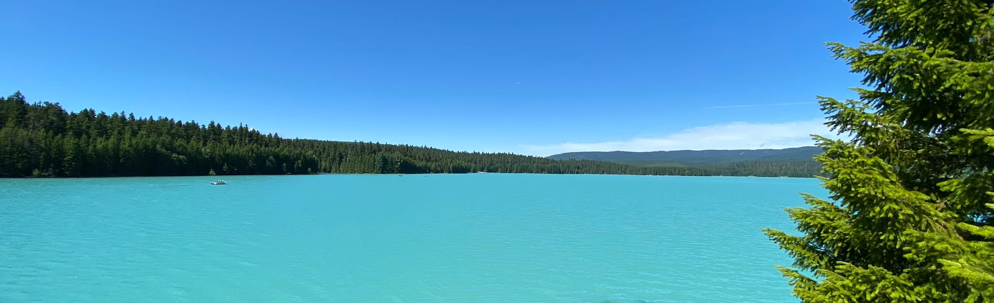 Timothy Lake Loop: 236 Reviews, Map - Oregon | AllTrails