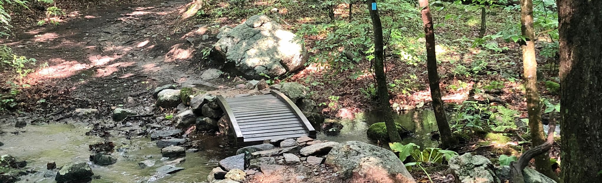 Ringwood State Park Cupsaw Brook Loop [CLOSED]: 24 Reviews, Map - New ...