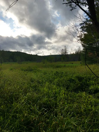 10 Best Hikes and Trails in Sproul State Forest | AllTrails