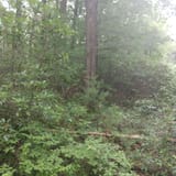 Chuck Keiper Trail: Short Loop, Pennsylvania - 13 Reviews, Map | AllTrails