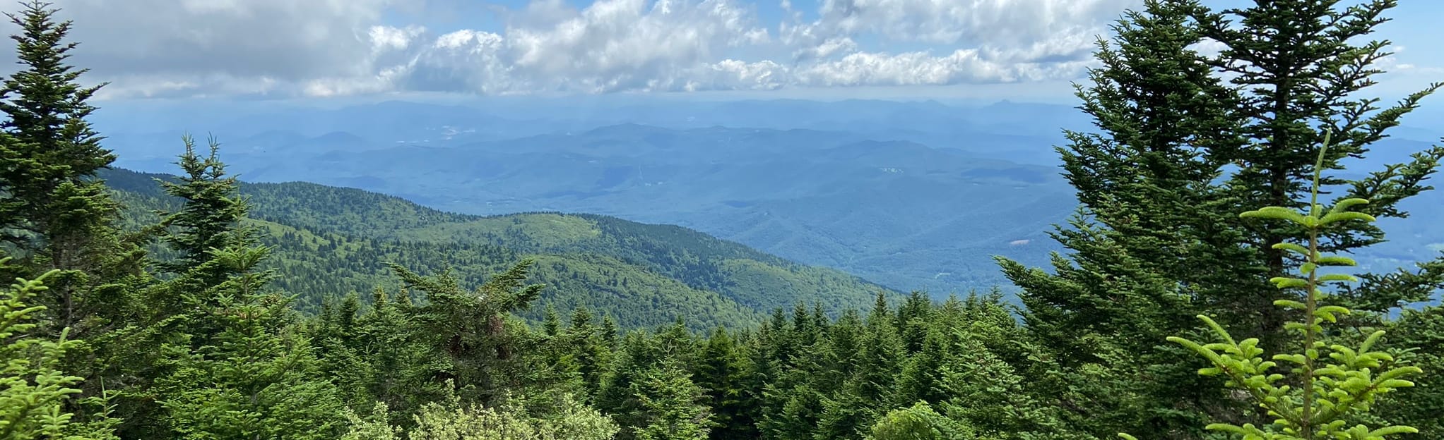 Mount Mitchell Trail to South Toe River Road Loop: 35 Reviews, Map ...