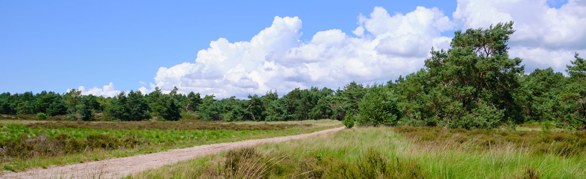 Ossendrechtse Duinen, North Brabant, Netherlands - 24 Reviews, Map ...