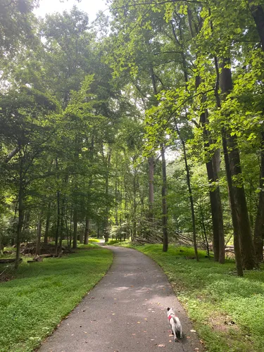 10 Best Trails and Hikes in Silver Spring | AllTrails