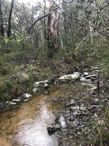 10 Best Off Road Driving Trails in Victoria | AllTrails