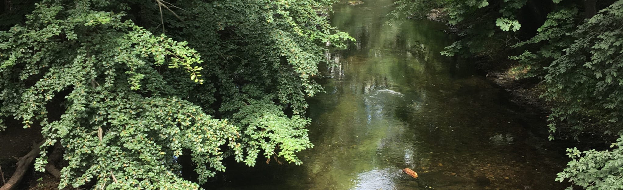 Panoramaweg Schwarzatal Etappe 2: Schwarzburg - Cursdorf, Thuringia, Germany - Map, Guide ...