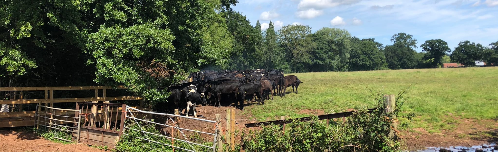 Chew Magna and Newtown Circular: 55 foto - Somerset, Inghilterra ...