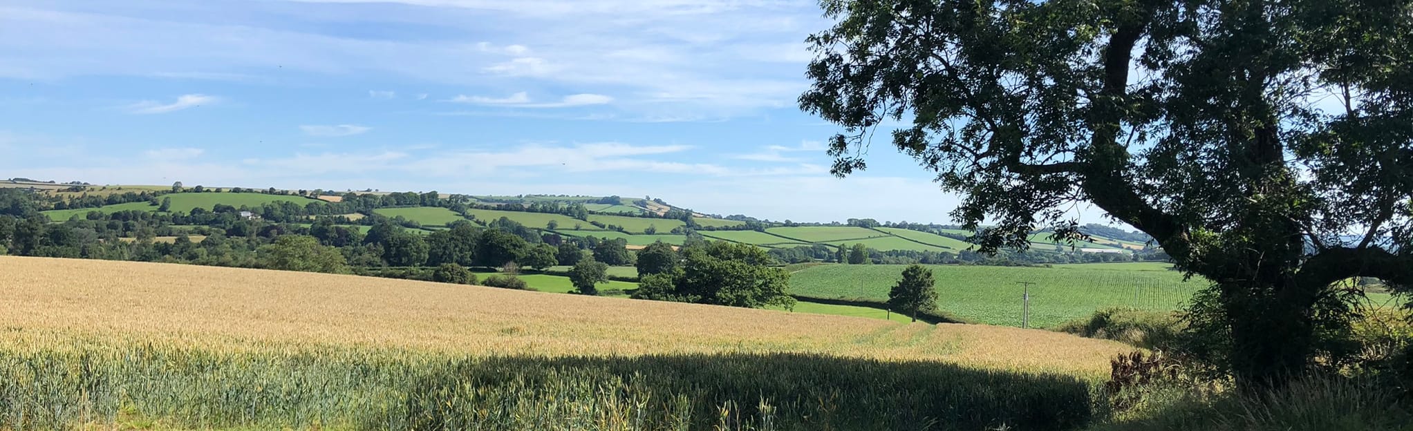 Knowle Hill and River Chew Circular, Bristol, England - 70 Reviews, Map ...