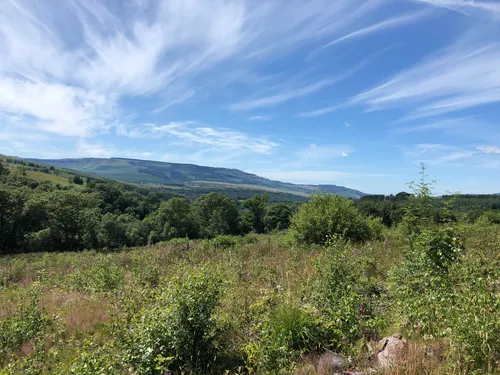 10 Best Walking Trails in Aberdare | AllTrails