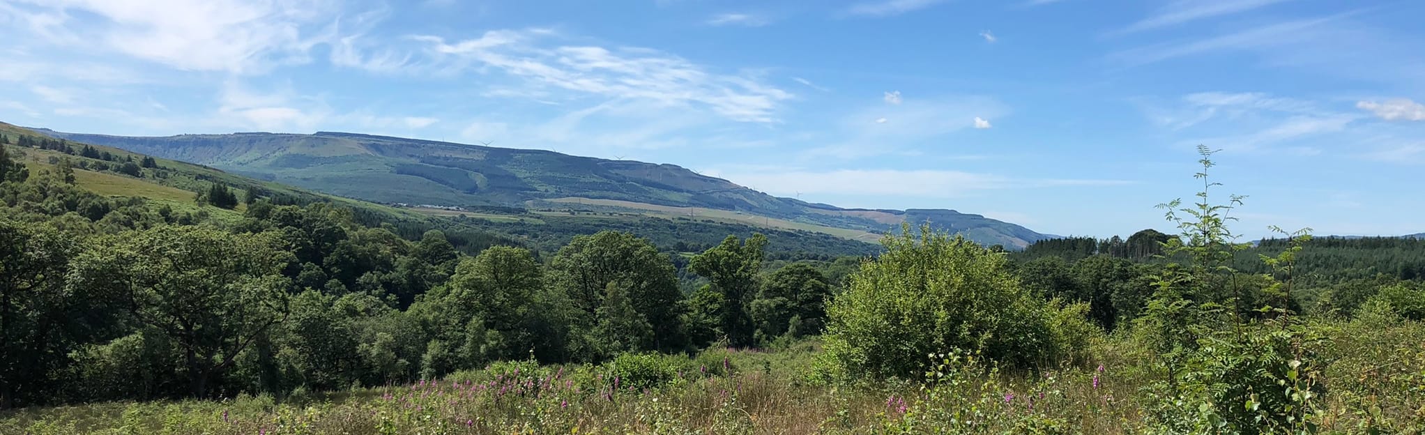 Penderyn Waterfalls Circular, Rhondda Cynon Taf, Wales - 8 Reviews, Map ...