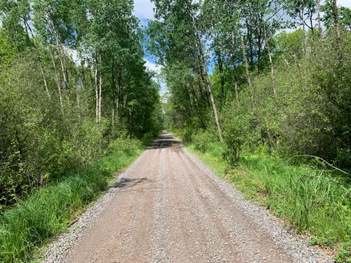 Best Off Road Driving Trails in Wisconsin | AllTrails