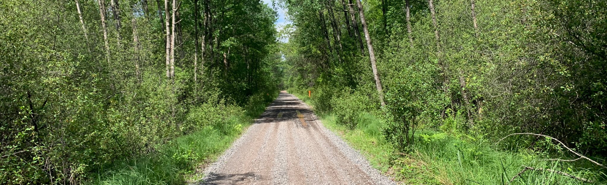 Oak Ridge Trail 6, Wisconsin - 9 Reviews, Map | AllTrails