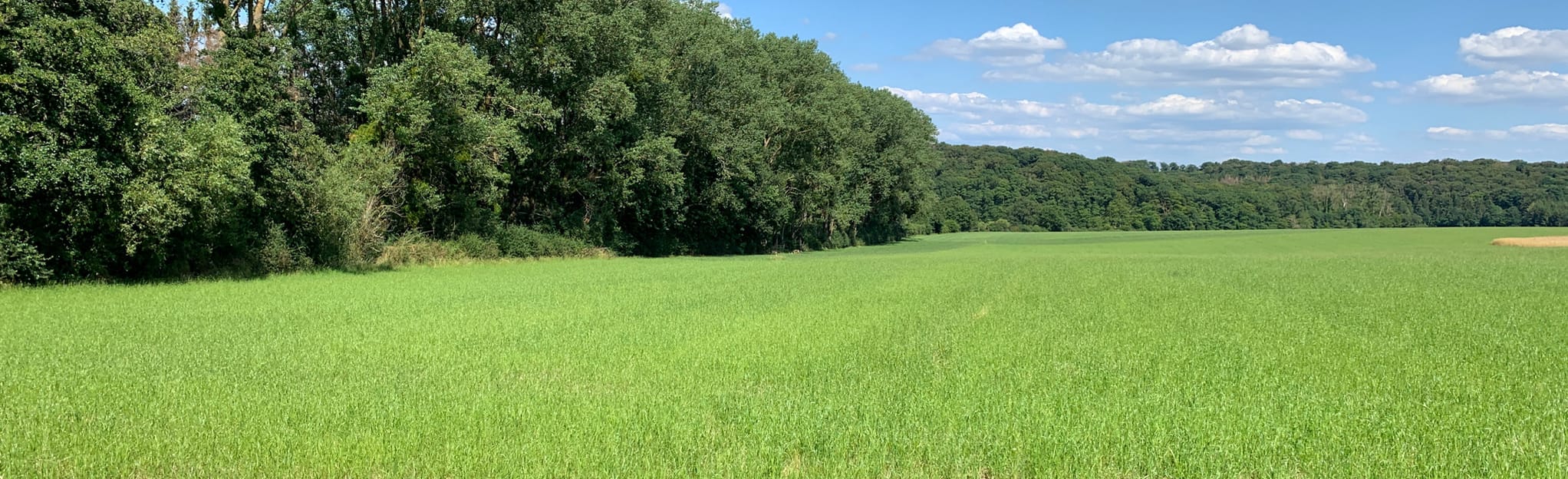 Bergem Circular Walk, Luxembourg, Luxembourg - 65 Reviews, Map | AllTrails