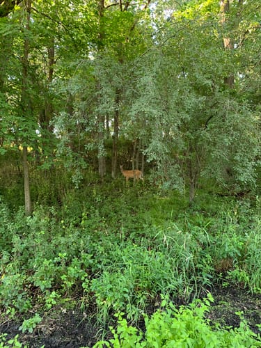 Best Hikes and Trails in Gull Point State Park | AllTrails