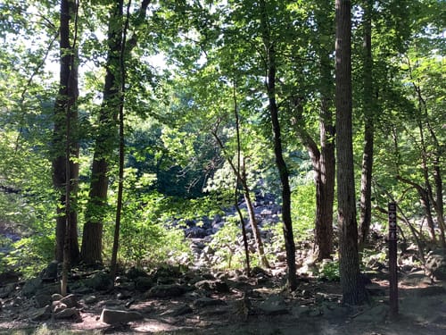 Best Hikes and Trails in Ringing Rocks County Park | AllTrails