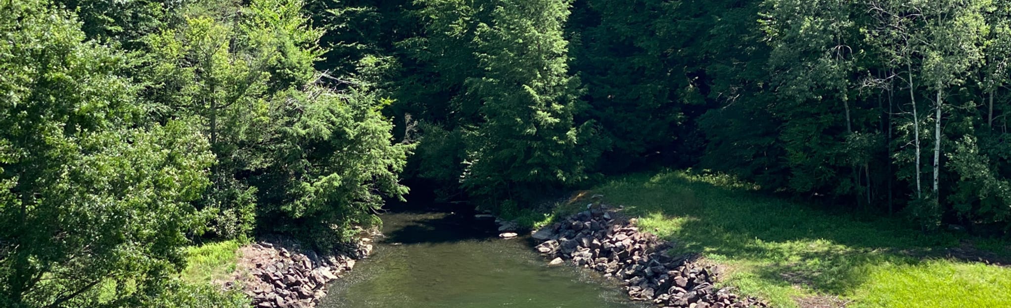 Tuscarora Lake Perimeter Loop | Map, Guide - Pennsylvania | AllTrails