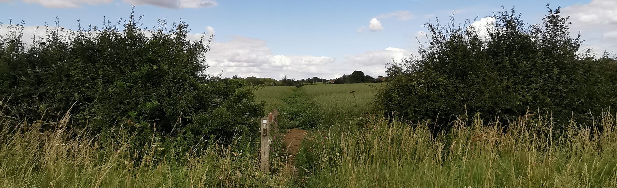 Helmdon and Falcutt Circular: 40 Fotos - Northamptonshire, England ...