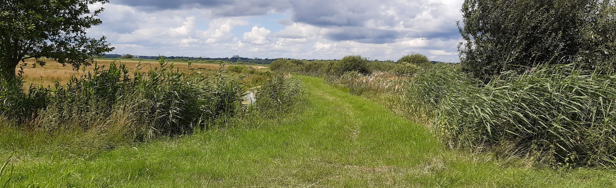 Knoops Park - Werderland - Dunger See: 46 foto's - Bremen, Duitsland ...