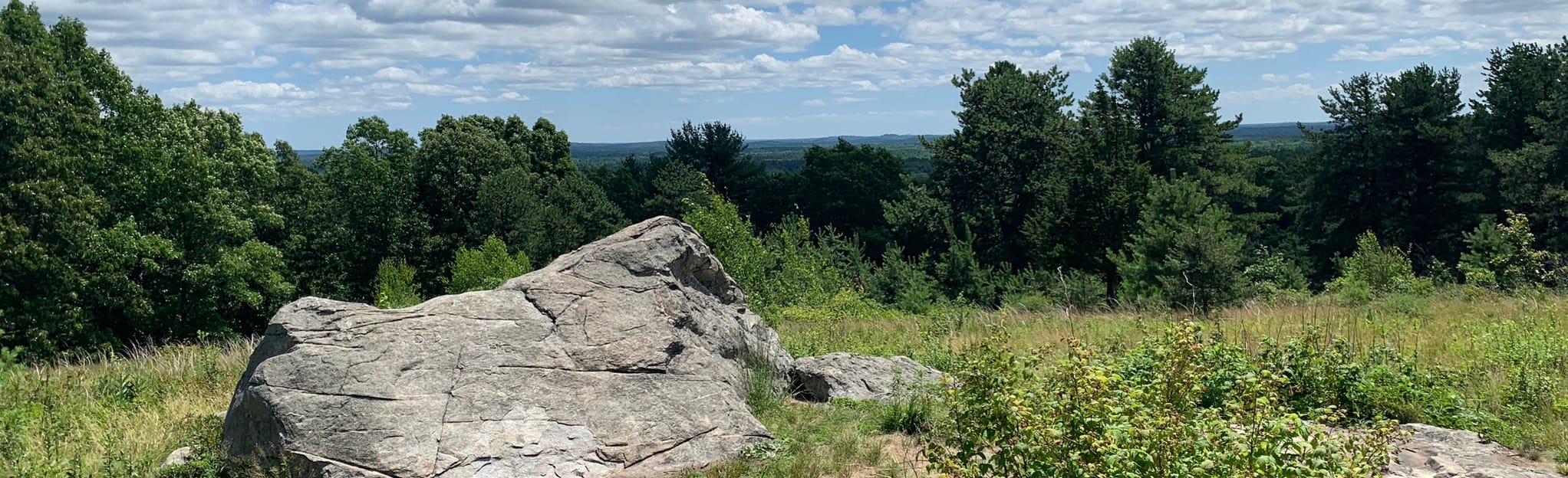 Elephant Rock and Vetter Trail Loop | Map, Guide - Massachusetts ...