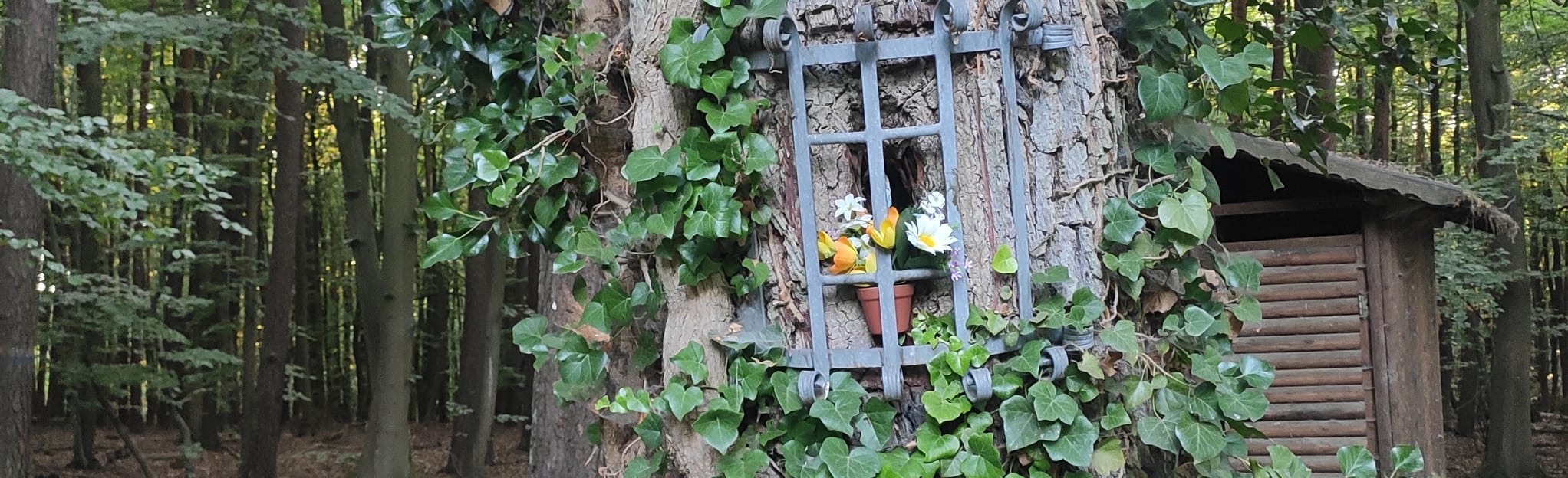Rundwanderweg Schaafheim Radheimer Turm 2: Zum Ottilienbild - Hesse ...