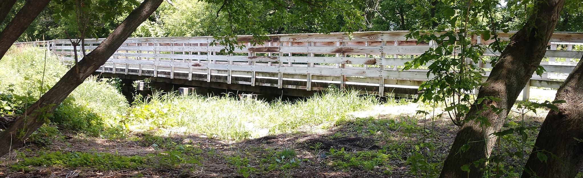 Great River Ridge Trail: 43 Reviews, Map - Minnesota | AllTrails