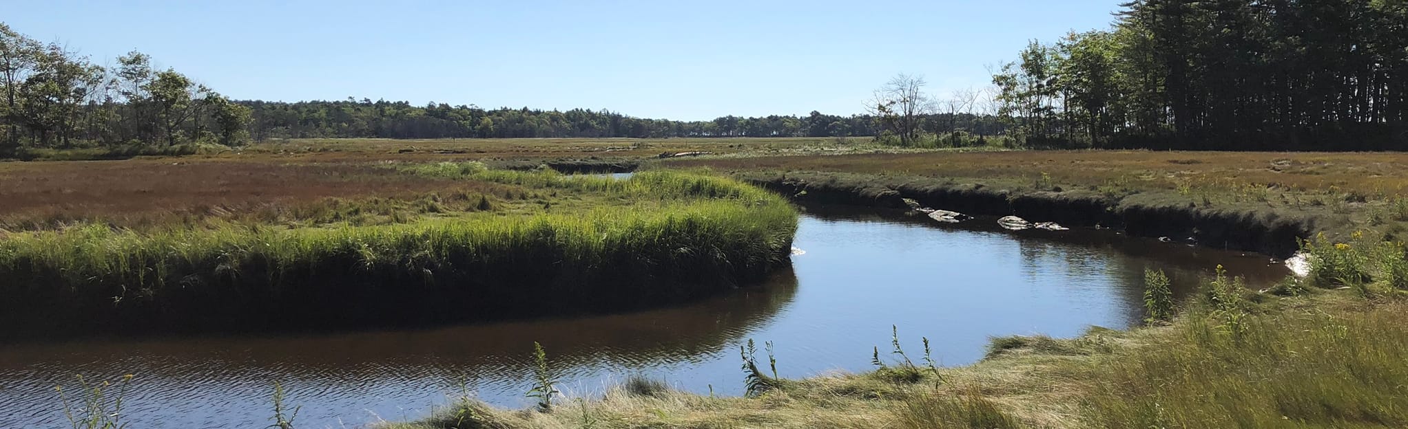 Rachel Carson Trail: 550 fotos - Maine | AllTrails