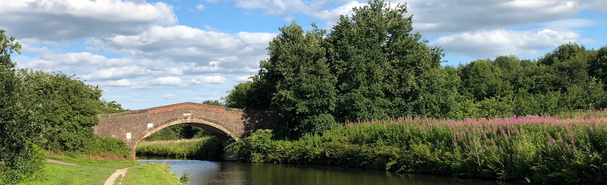 Spud Wood Nature Trail, Cheshire, England - 32 Reviews, Map | AllTrails