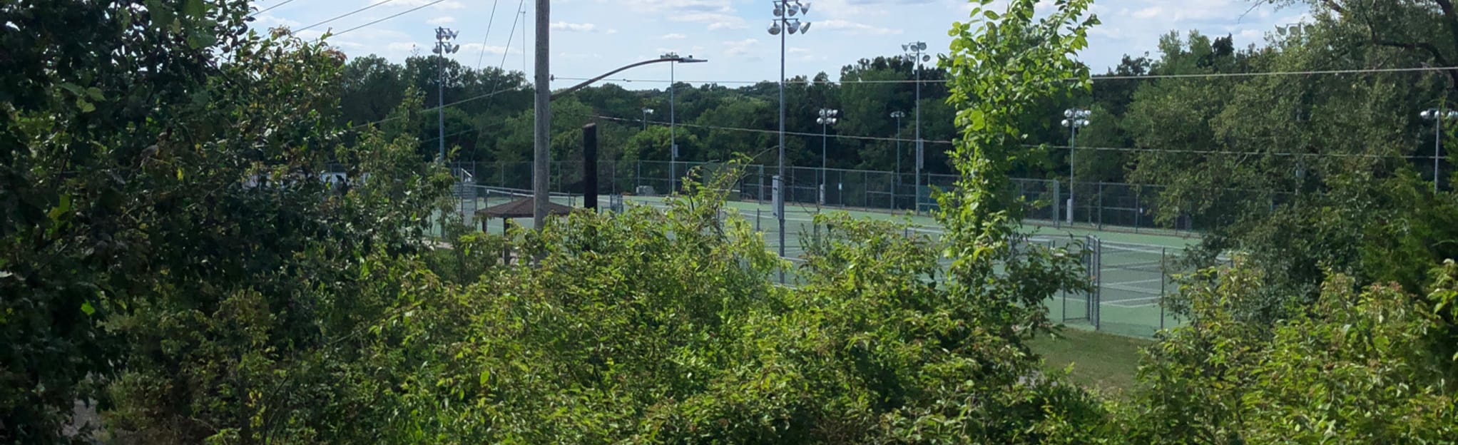 Lipton Conservation Area Nature Trail: 56 Reviews, Map - Missouri ...