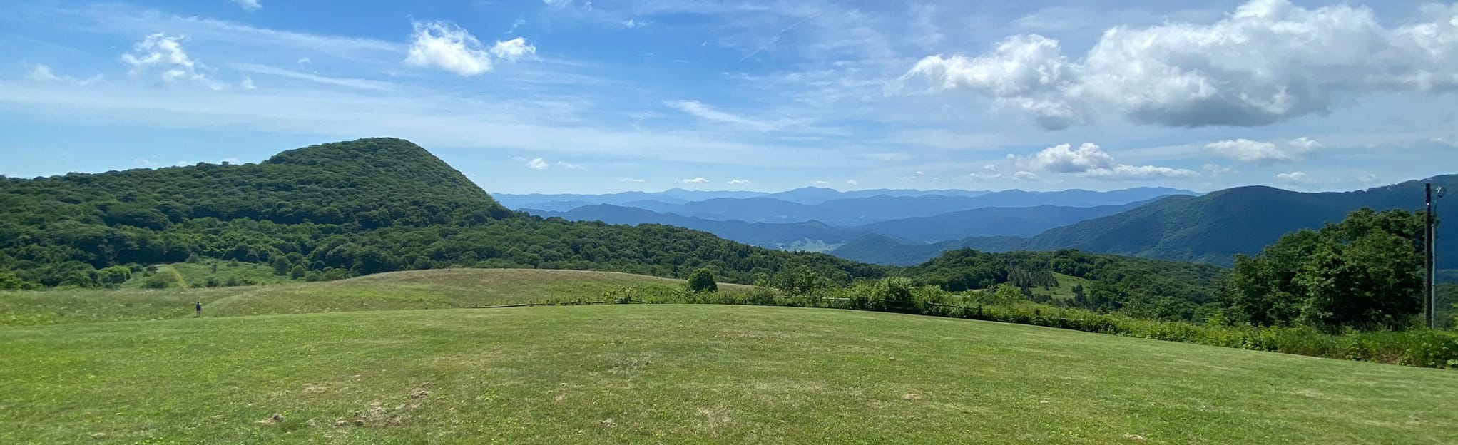 Hemp Hill Road Trail, North Carolina - 637 Reviews, Map | AllTrails