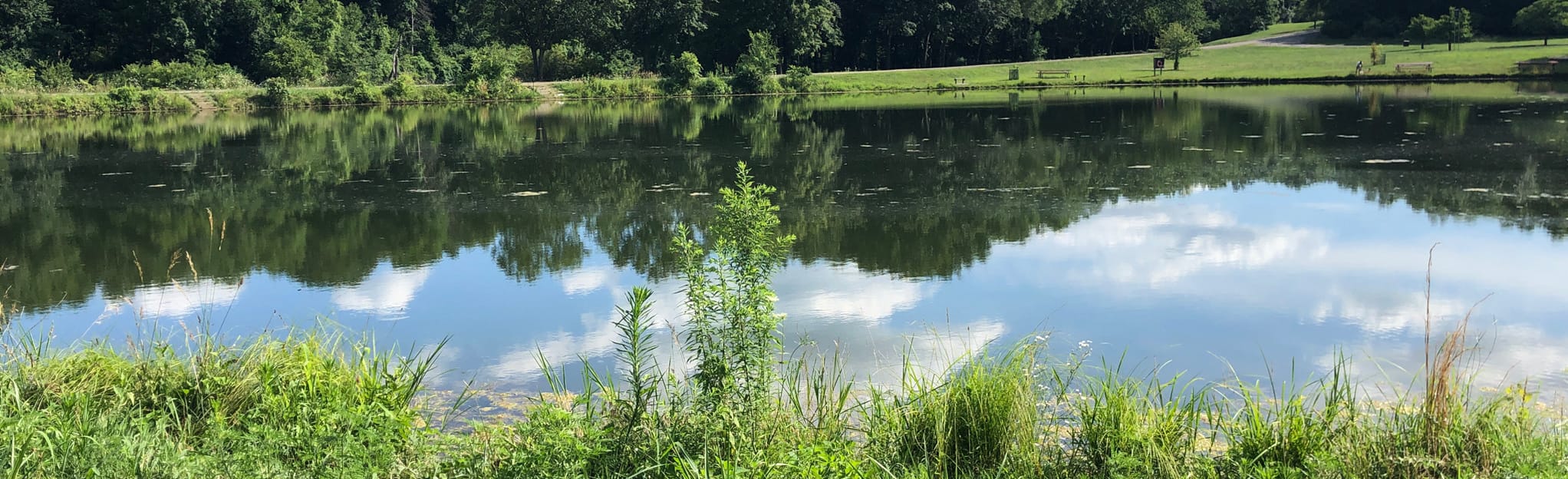 George Owens Butterfly, Hollow Stump, Chonkeh, and Paw Paw Loop, Missouri - 24 Reviews, Map ...