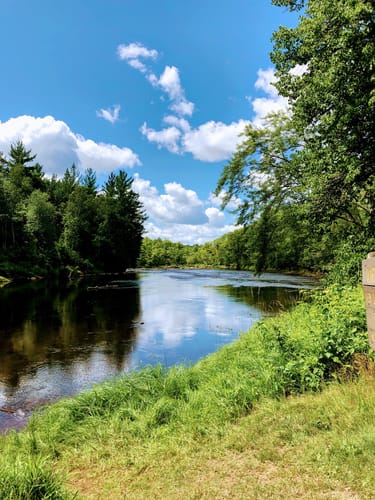 Best Hikes and Trails in Steve Michaud Park | AllTrails