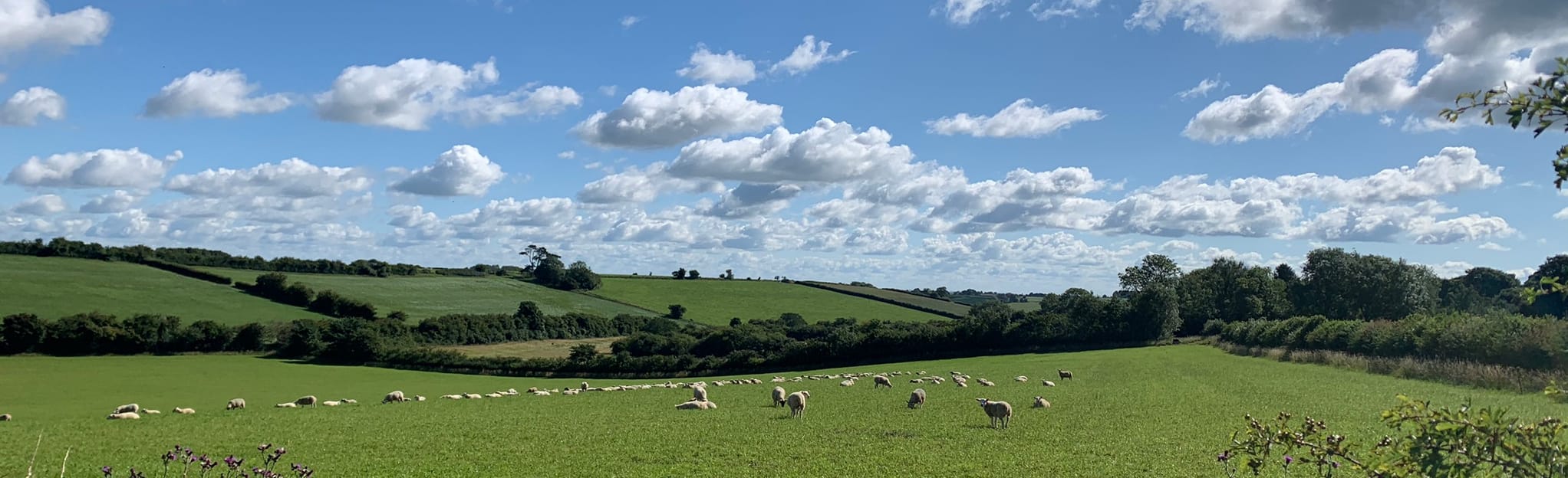 Cotswold Way: Tormarton to Cold Ashton: 135 Fotos - Gloucestershire ...