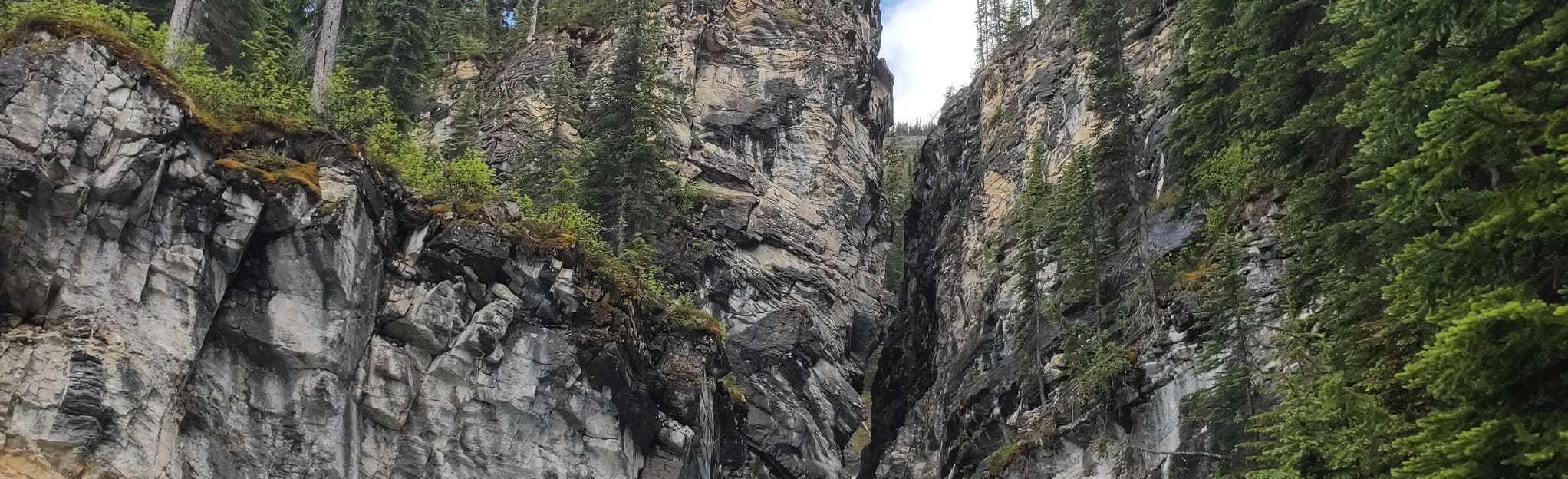 Twin Falls, Whaleback Trail, and Marpole Lake Connector Loop - British ...