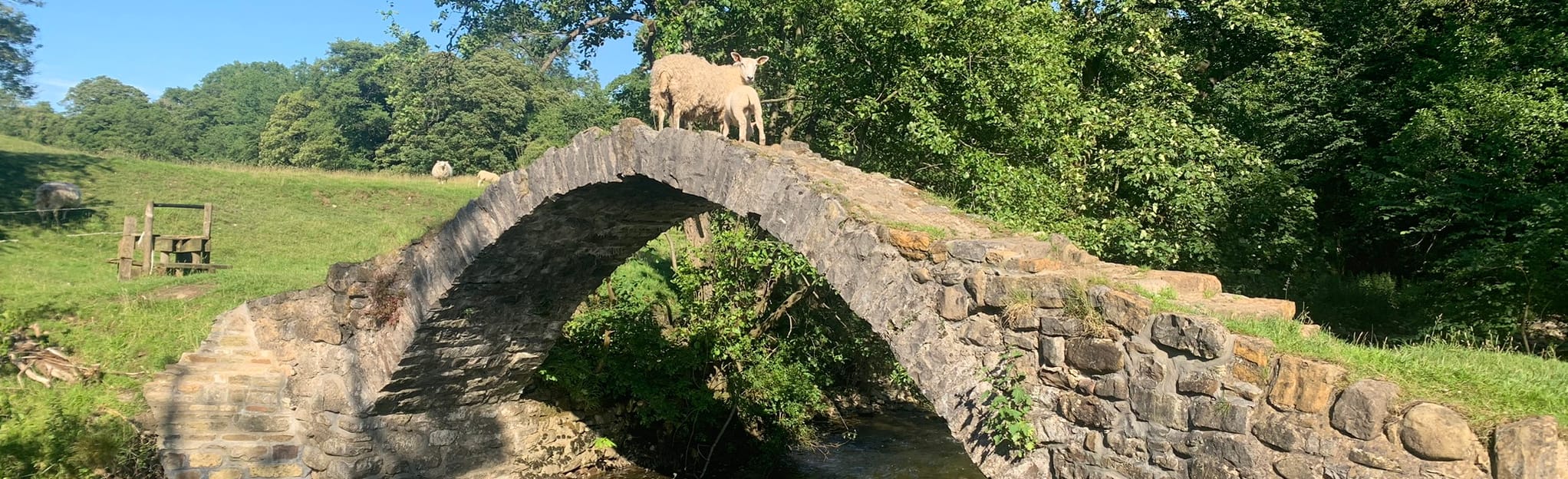 Grindleton, Chatburn, Sawley Circular, Lancashire, England - 62 Reviews ...