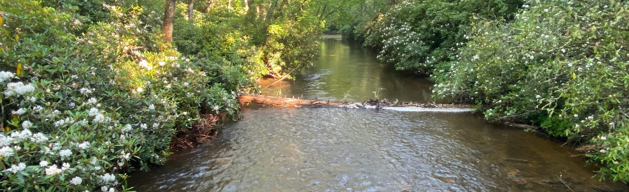 South Fork Mills Riverside Trail, North Carolina - 84 Reviews, Map ...