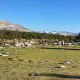 Lower Gaylor Lake Trail, California - 88 Reviews, Map | AllTrails
