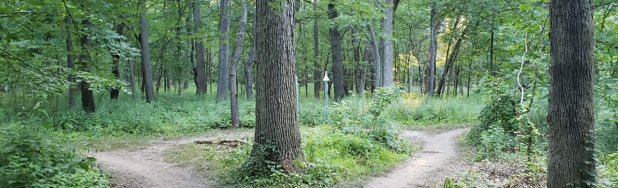 Palos Trail System: Purple Loop: 492 Reviews, Map - Illinois | AllTrails
