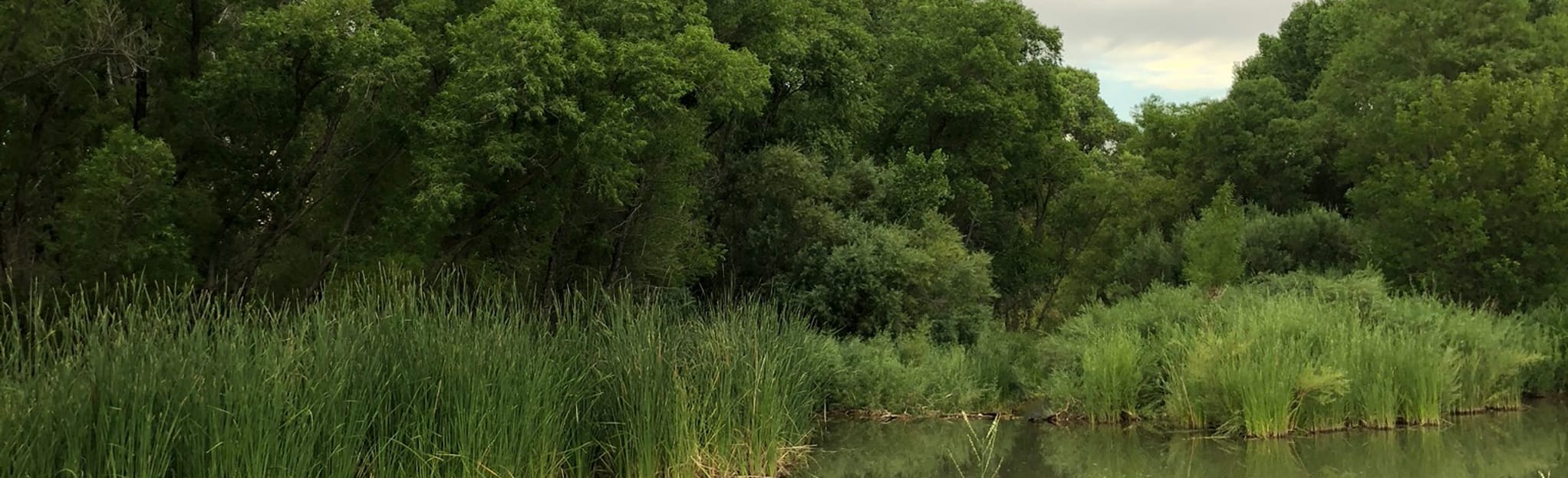 Jail Trail River Walk, Arizona - 481 Reviews, Map | AllTrails