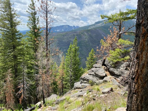 Best Hikes and Trails in Florence | AllTrails