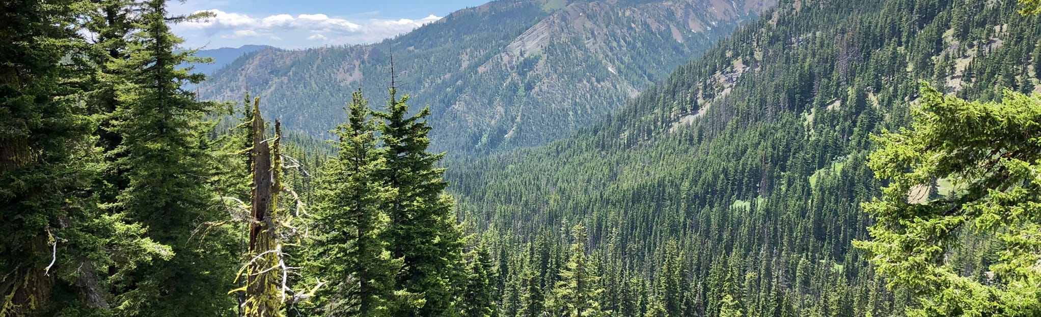 Skookum Basin Trail via De Roux Trail: 3 Reviews, Map - Washington ...