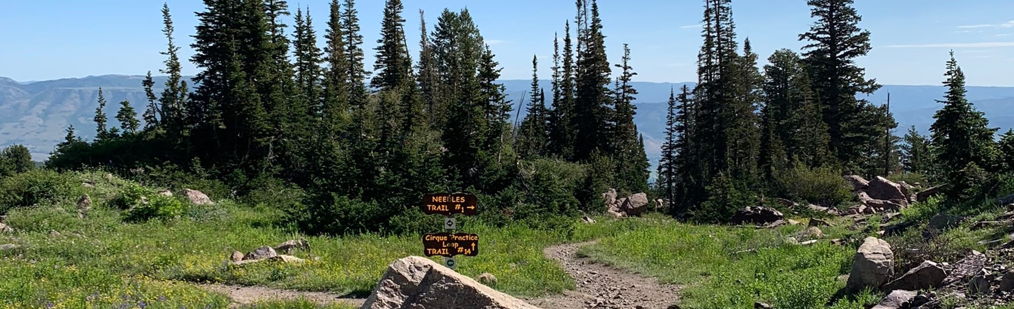 Snowbasin Needles Trail | Map, Guide - Utah | AllTrails