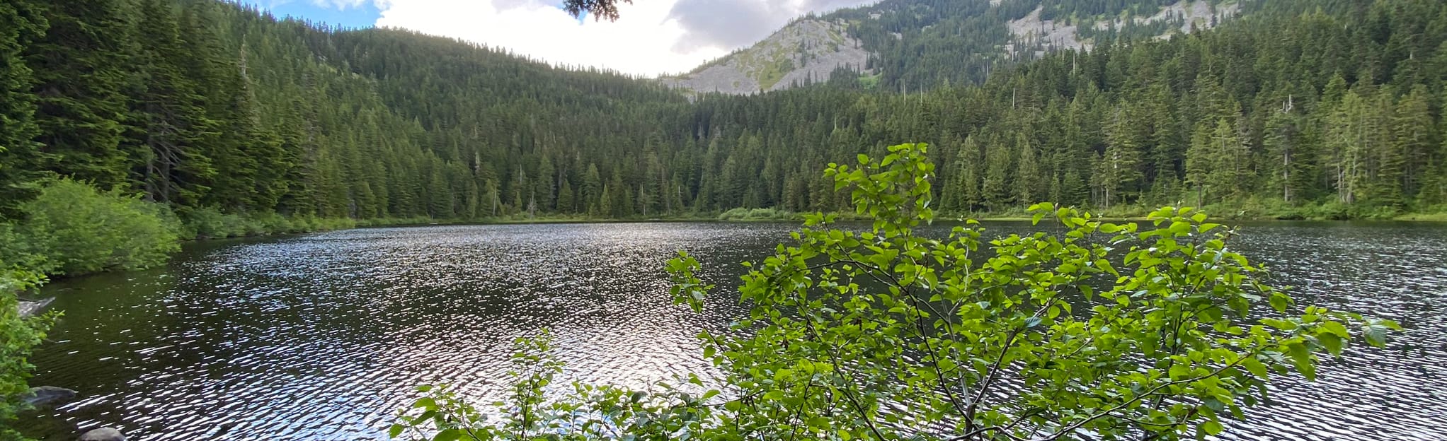 Talapus and Olallie Lakes via Talapus Lake Trail: 3124 Reviews, Map ...