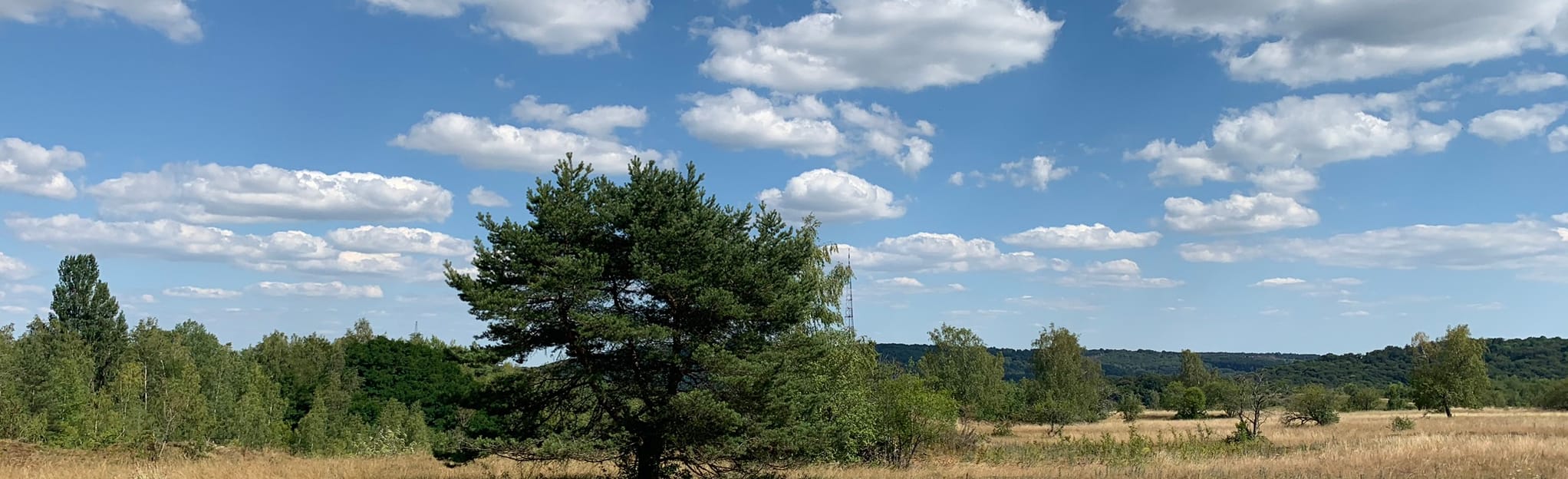 Dudelange Ronde: 13 Reviews, Map - Esch-sur-Alzette, Luxembourg | AllTrails