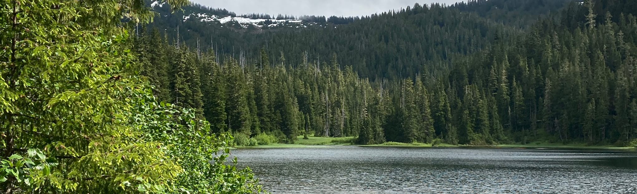 Deer Lake and Little Divide Trail: 3.239 Fotos - Washington | AllTrails