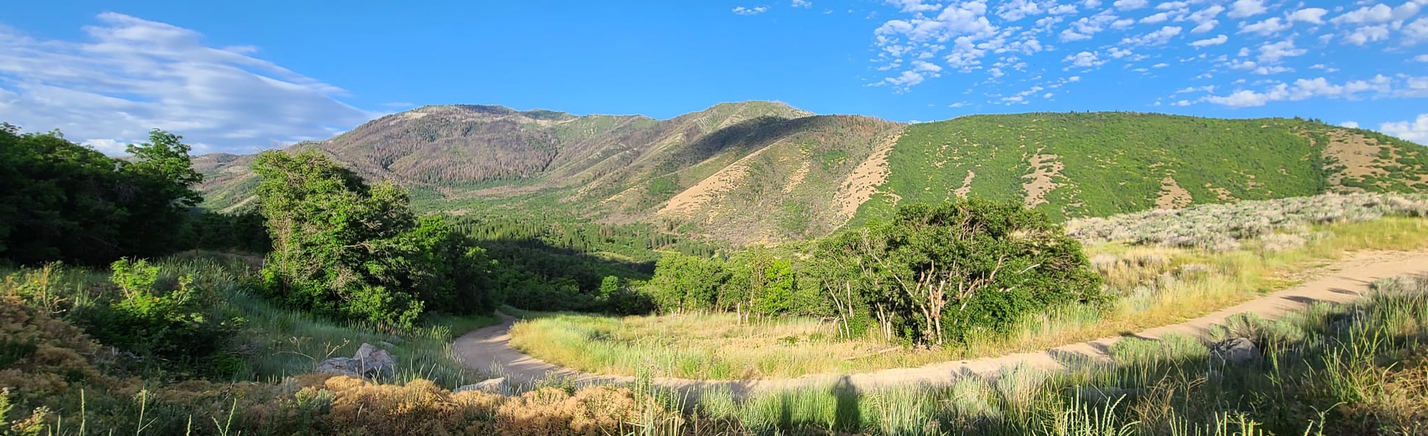 Forebay Canal Trail: 92 Reviews, Map - Utah | AllTrails