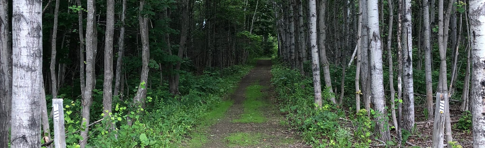 Charlo River Delta Trail: 10 Reviews, Map - New Brunswick, Canada ...
