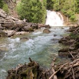 Upper Priest River Trail, Idaho - 86 Reviews, Map | AllTrails