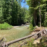 Upper Priest River Trail, Idaho - 86 Reviews, Map | AllTrails